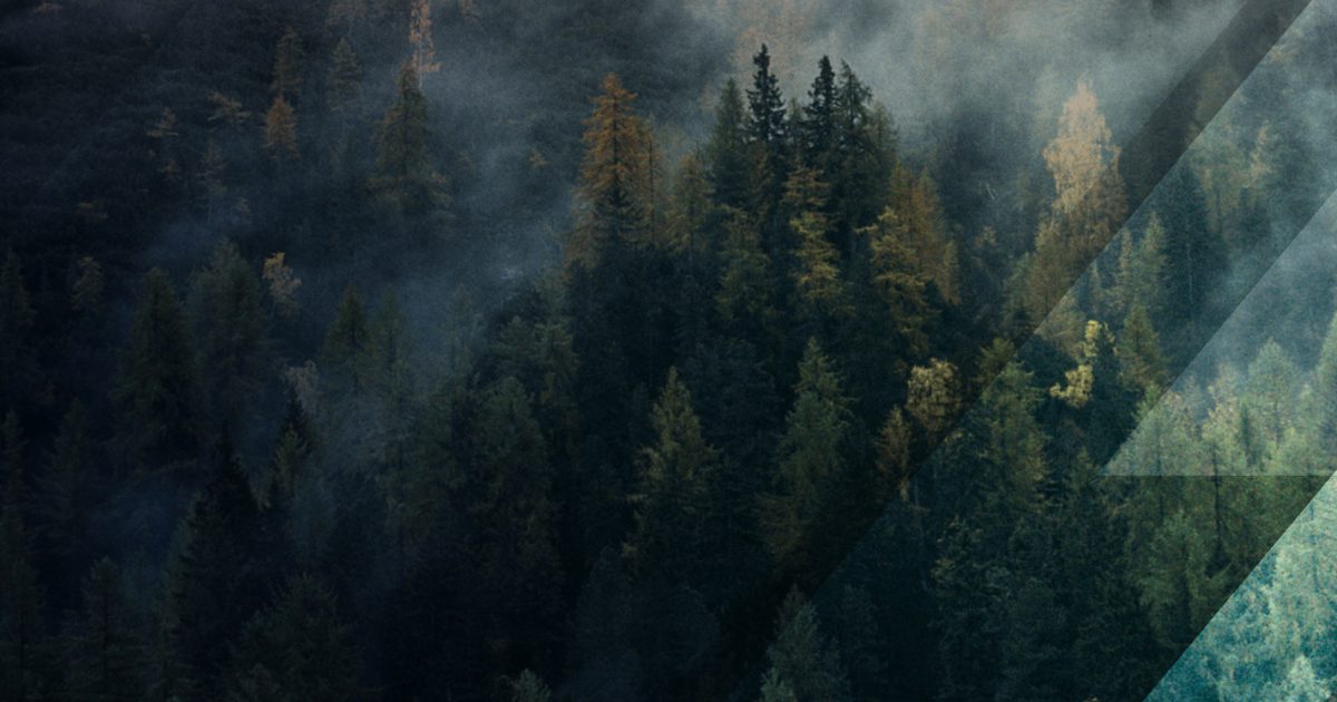 ESG reporting - obligation or opportunity? | ZEDRA